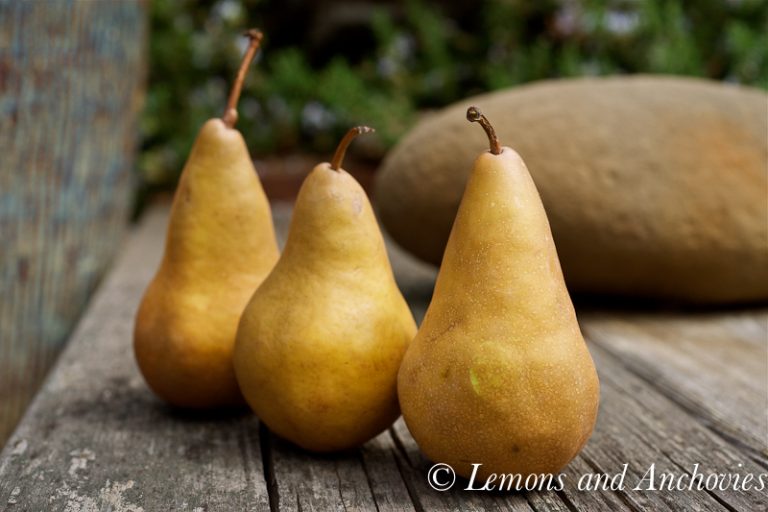 Bosc Pears with Rum, Mascarpone and Ginger Syrup - Lemons + Anchovies